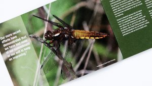 Environmental Report Design – London, Cheshire, Cambridge UK