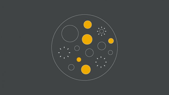 Internal Animation – London, Cheshire, Cambridge UK